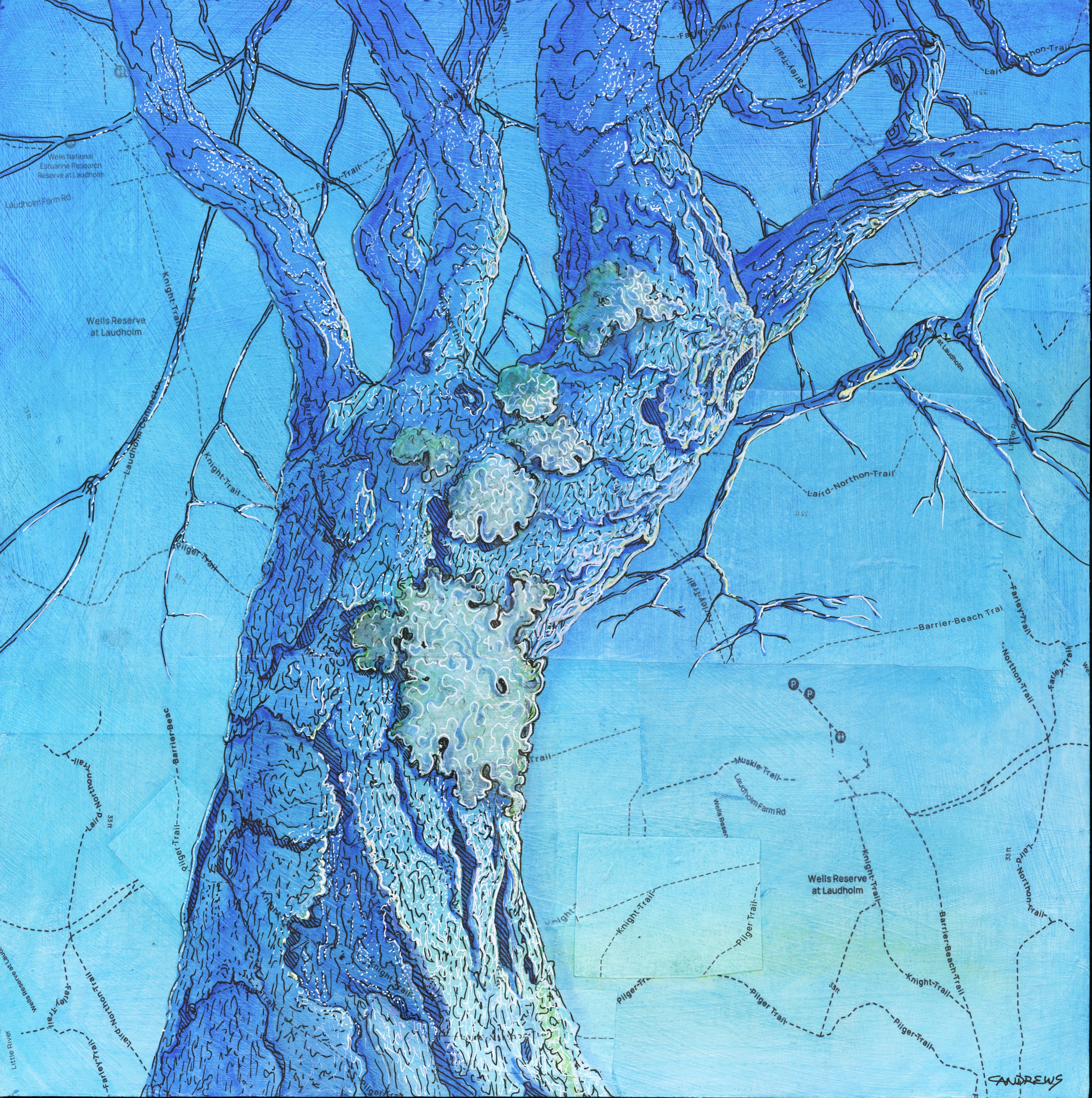 Twisted - Original Art by NH Artist Christine Andrews – CAndrewsArt